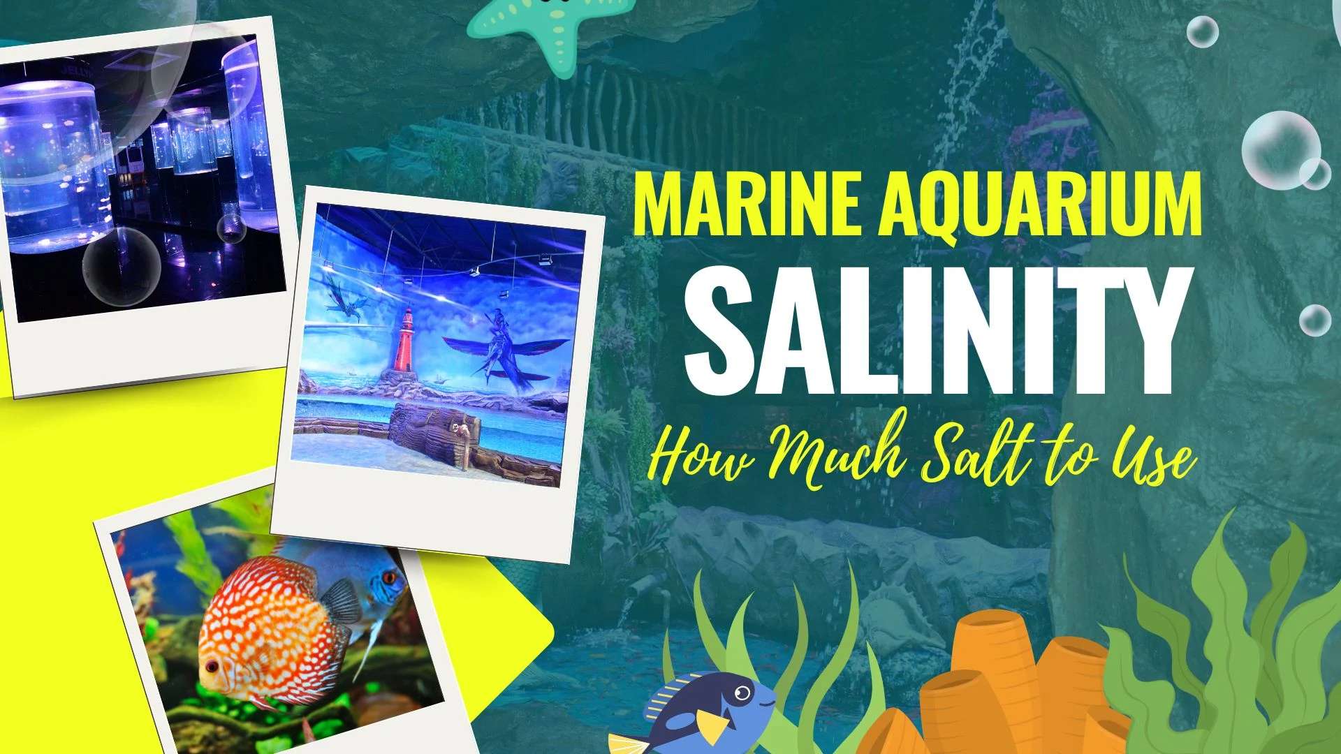 Marine Aquarium Salinity: How Much Salt to Use