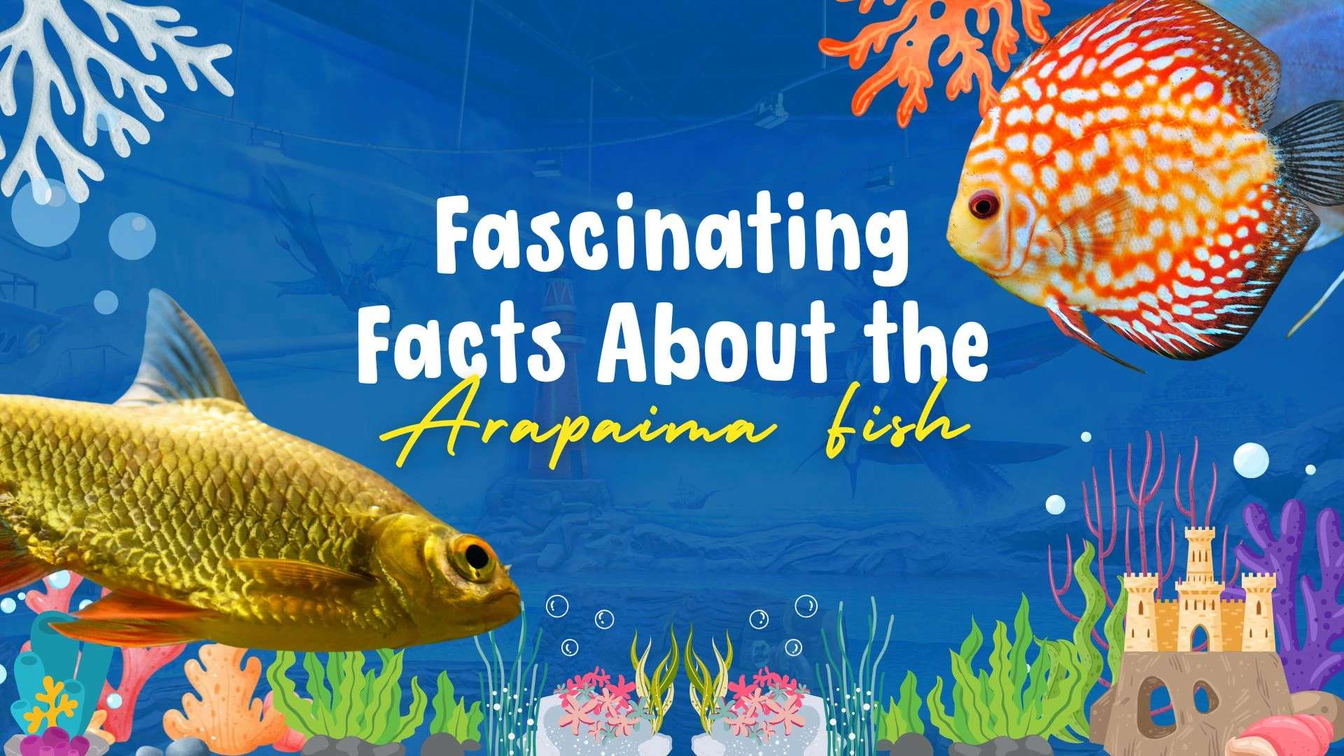 Fascinating Facts About the Arapaima Fish