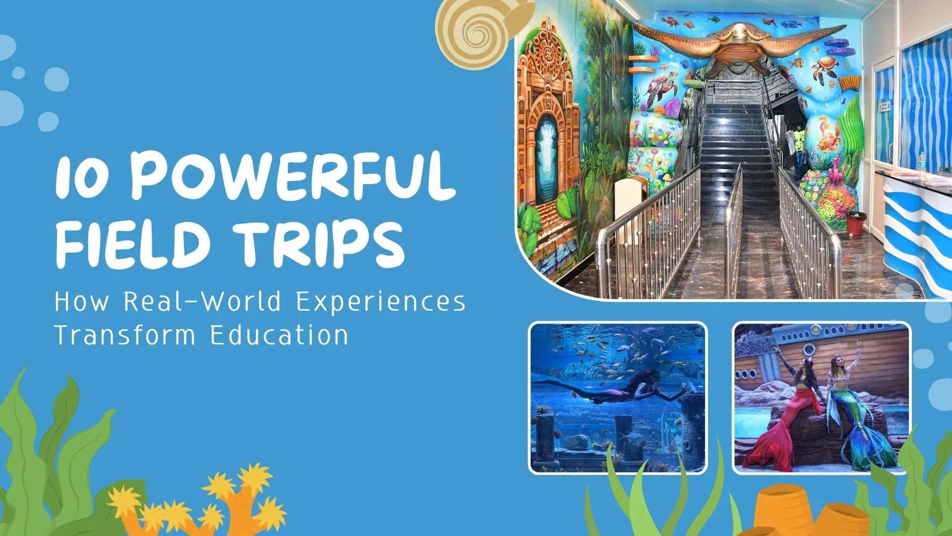 10 Powerful Field Trips: How Real-World Experiences Transform Education