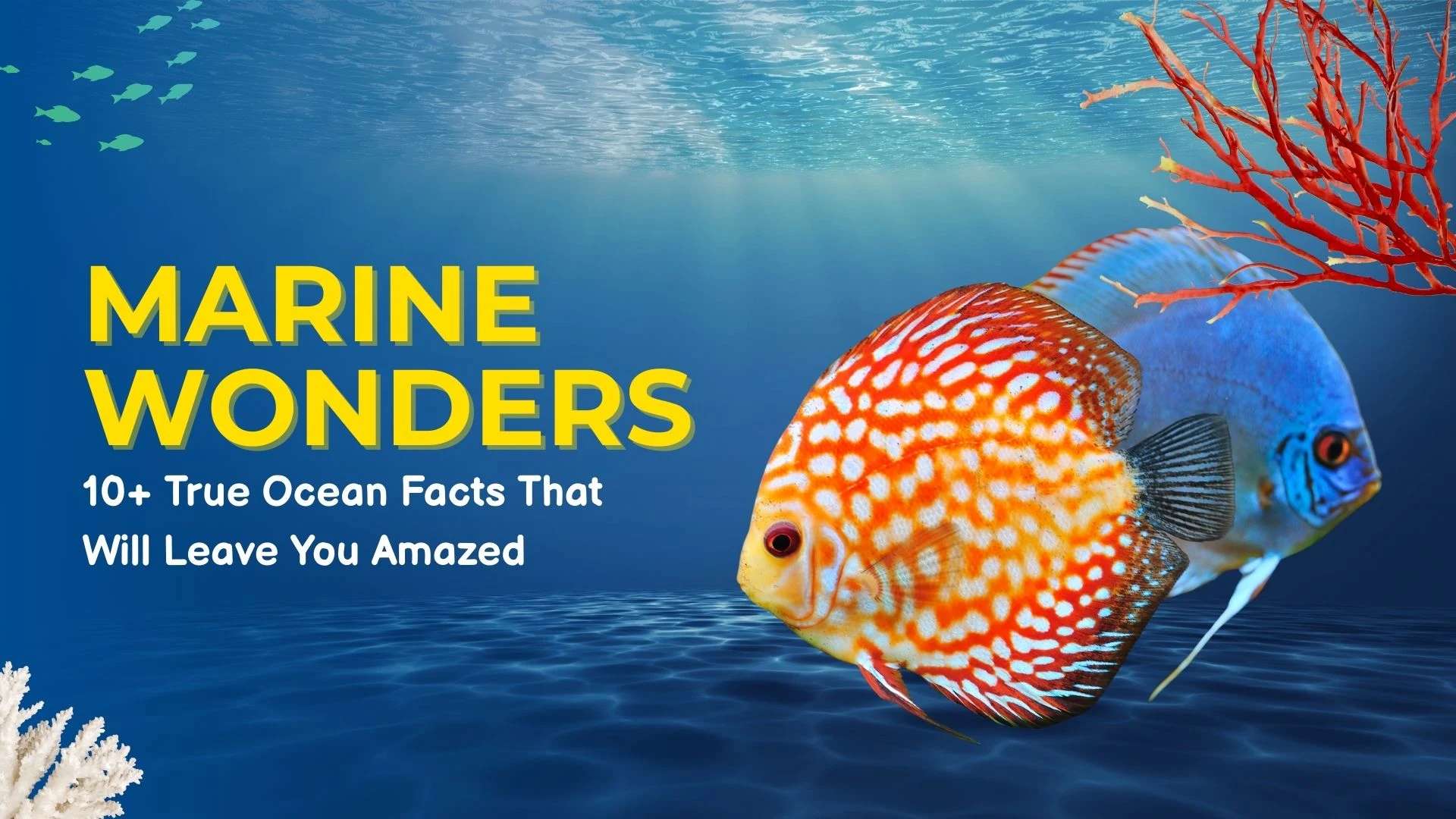Marine Wonders: 10+ True Ocean Facts That Will Leave You Amazed