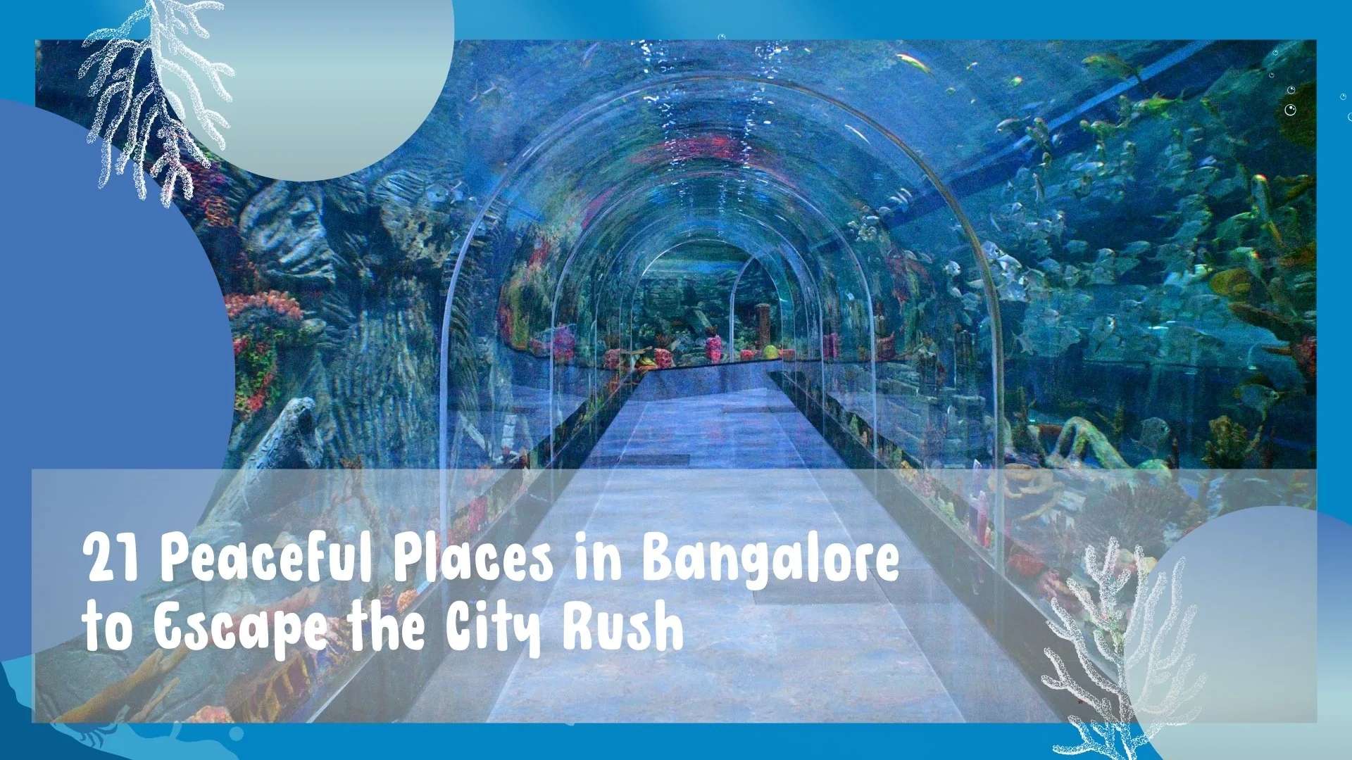 21 Peaceful Places in Bangalore to Escape the City Rush