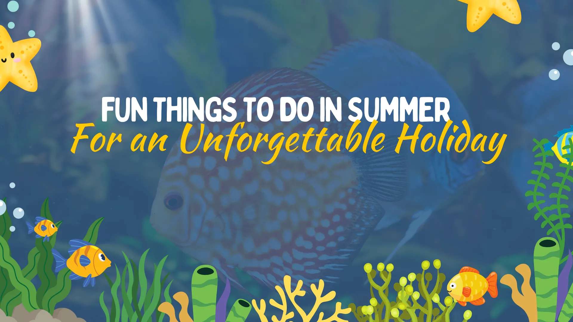 Fun Things to Do in Summer for an Unforgettable Holiday